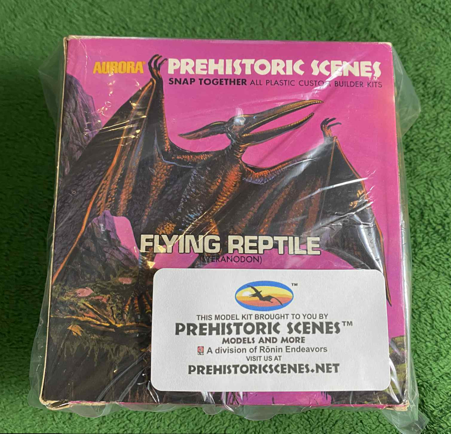 Prehistoric Scenes